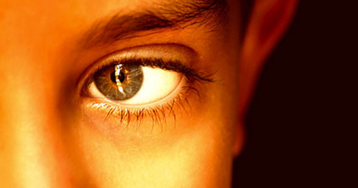 Paix | CANADA “Just take care of yourself” L’orangeraie, harry tremblay